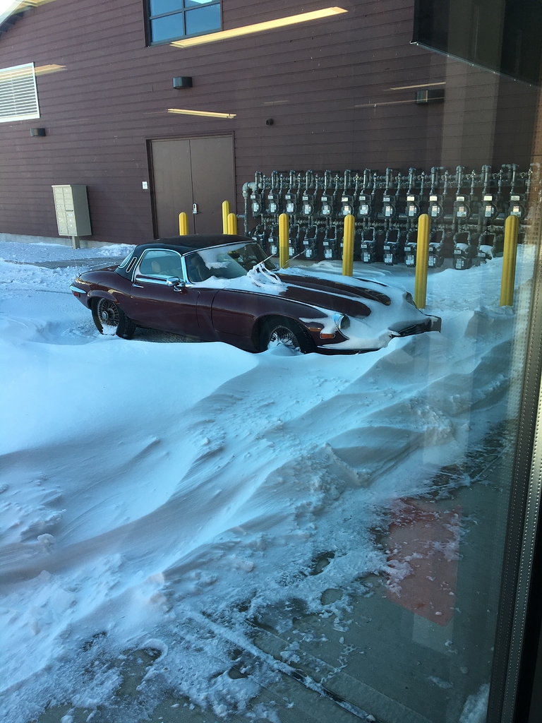 E type jag owners are dedicated baby! - E-Type - Jag-lovers Forums