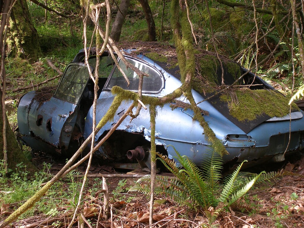 See Where They Rust - E-Type - Jag-lovers Forums