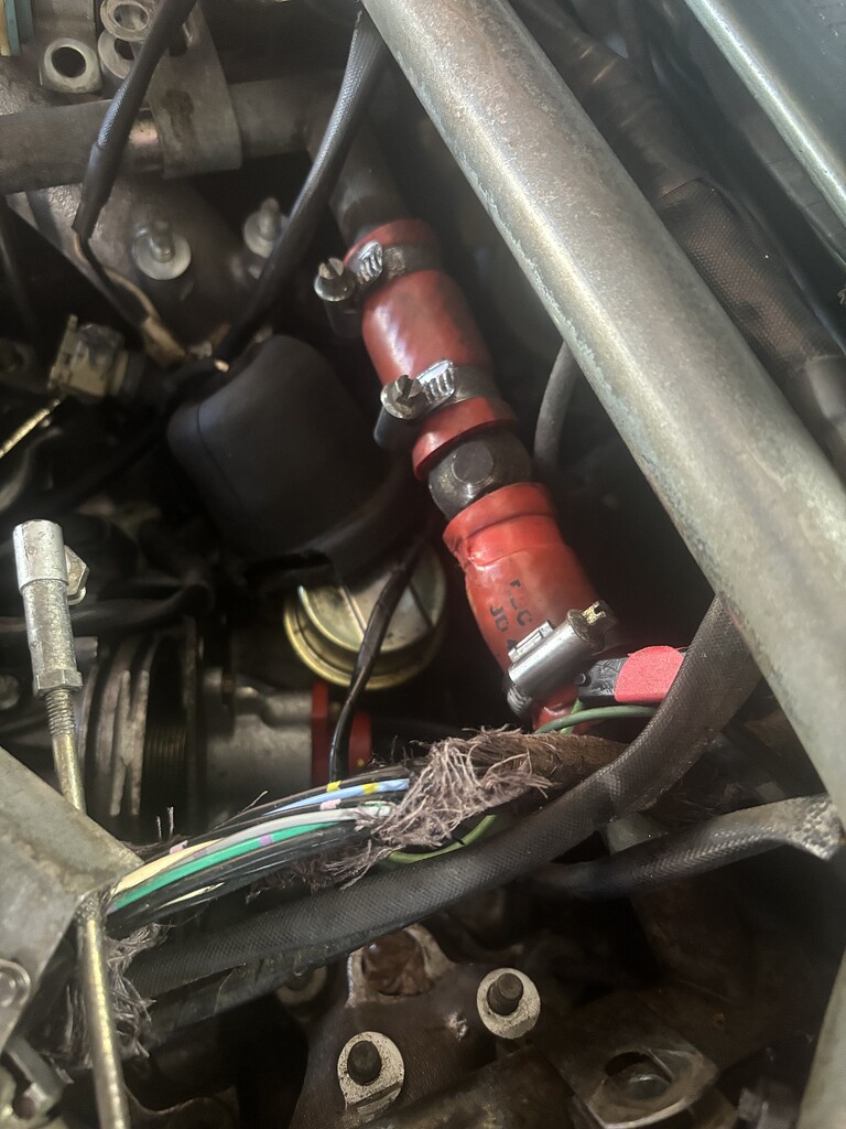 Inlet Manifolds/red hoses (2) center of engine bay - XJ-S - Jag-lovers Forums