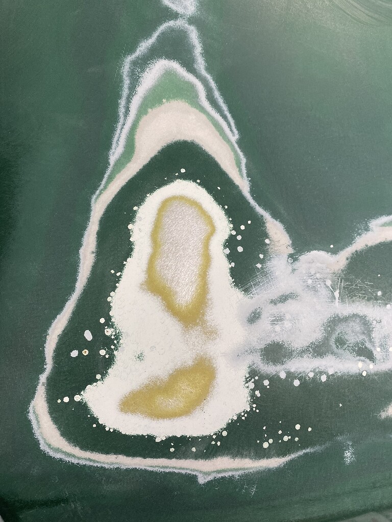 Cutting through time - Saloons - Jag-lovers Forums