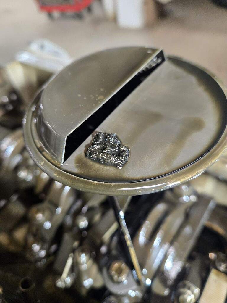 Sludge in Oil sump... What dos this tell me about the engine - E-Type ...