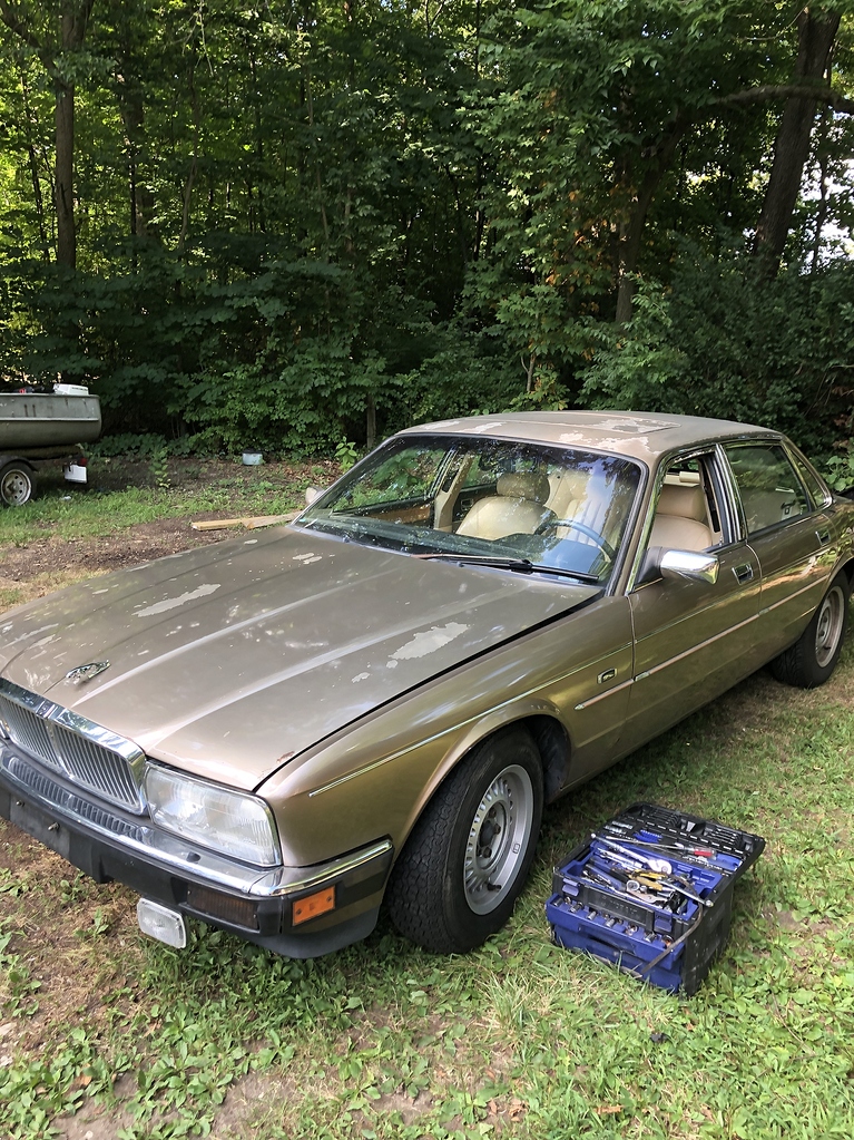 New 1990 VDP Owner - XJ40 - Jag-lovers Forums