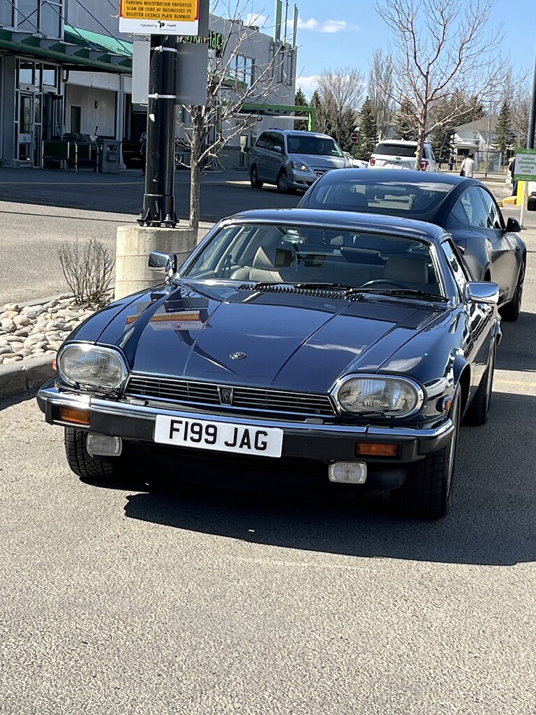 First Jaguar run of the year show us your XJ - XJ-S - Jag-lovers Forums