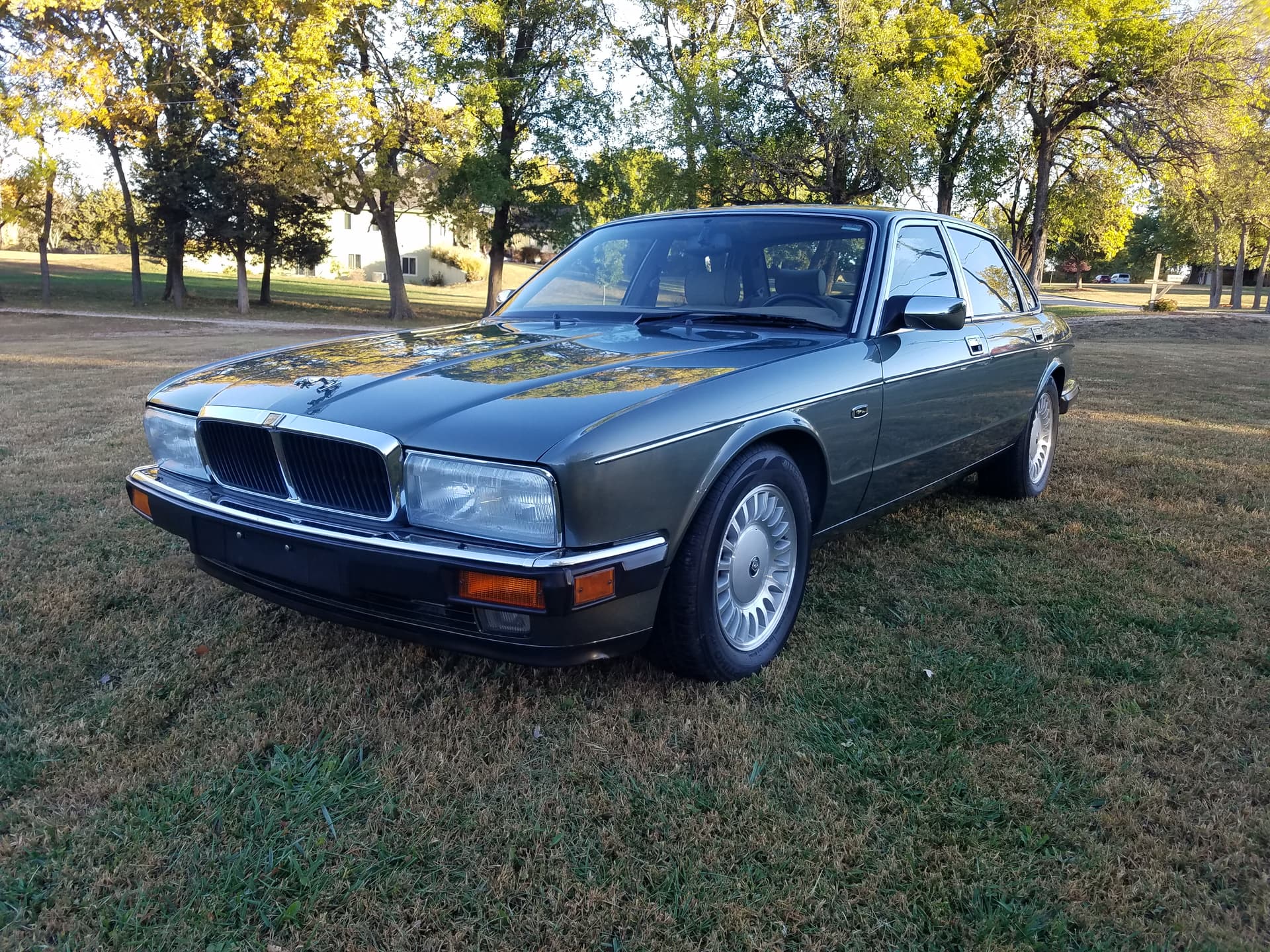 xj81