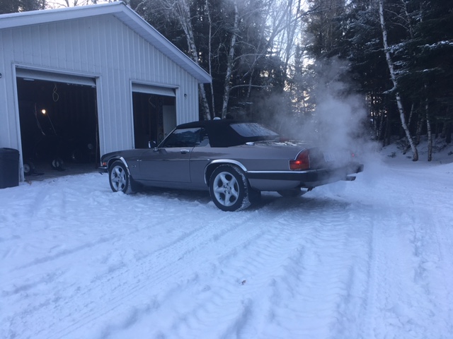 A Rare Snow Cat - XJ-S - Jag-lovers Forums