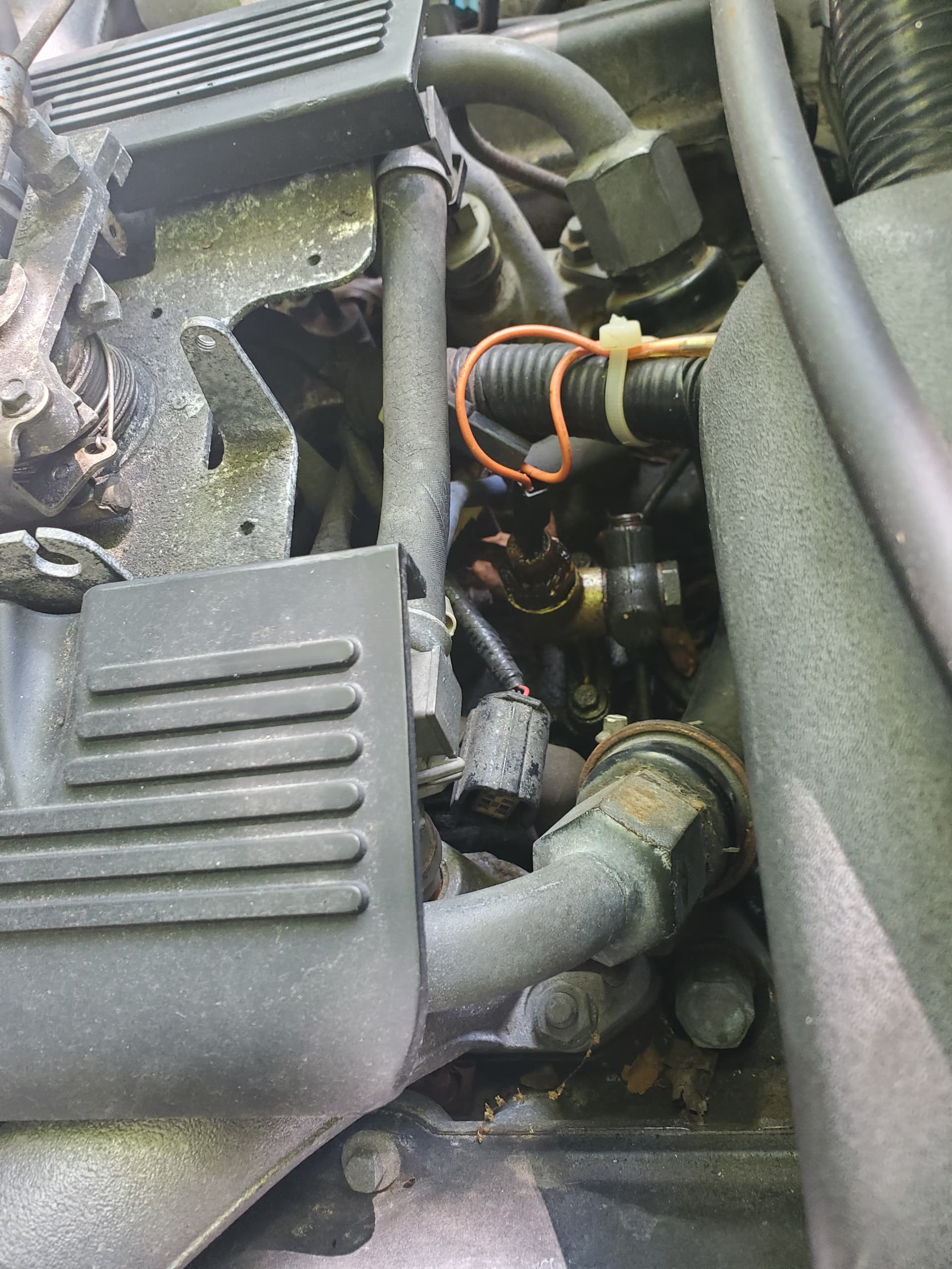 What is this wire connector at back of engine (X305 MY95) - X300 - Jag-lovers Forums