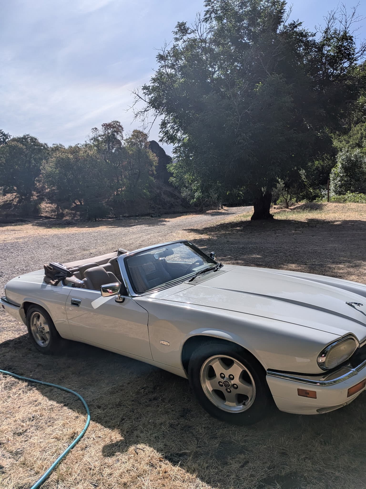 Wisdom for first time XJS buyer - XJ-S - Jag-lovers Forums