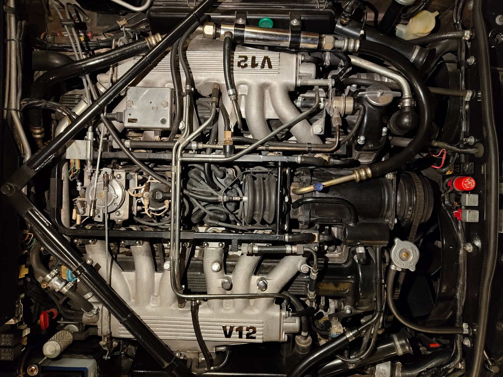 Engine compartment - XJ-S - Jag-lovers Forums