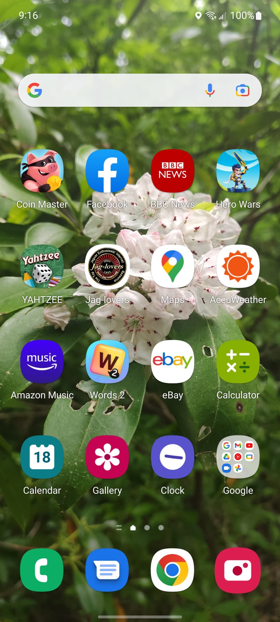 Incredible Shrinking Logo - Page 2 - Site Feedback - Jag-lovers Forums