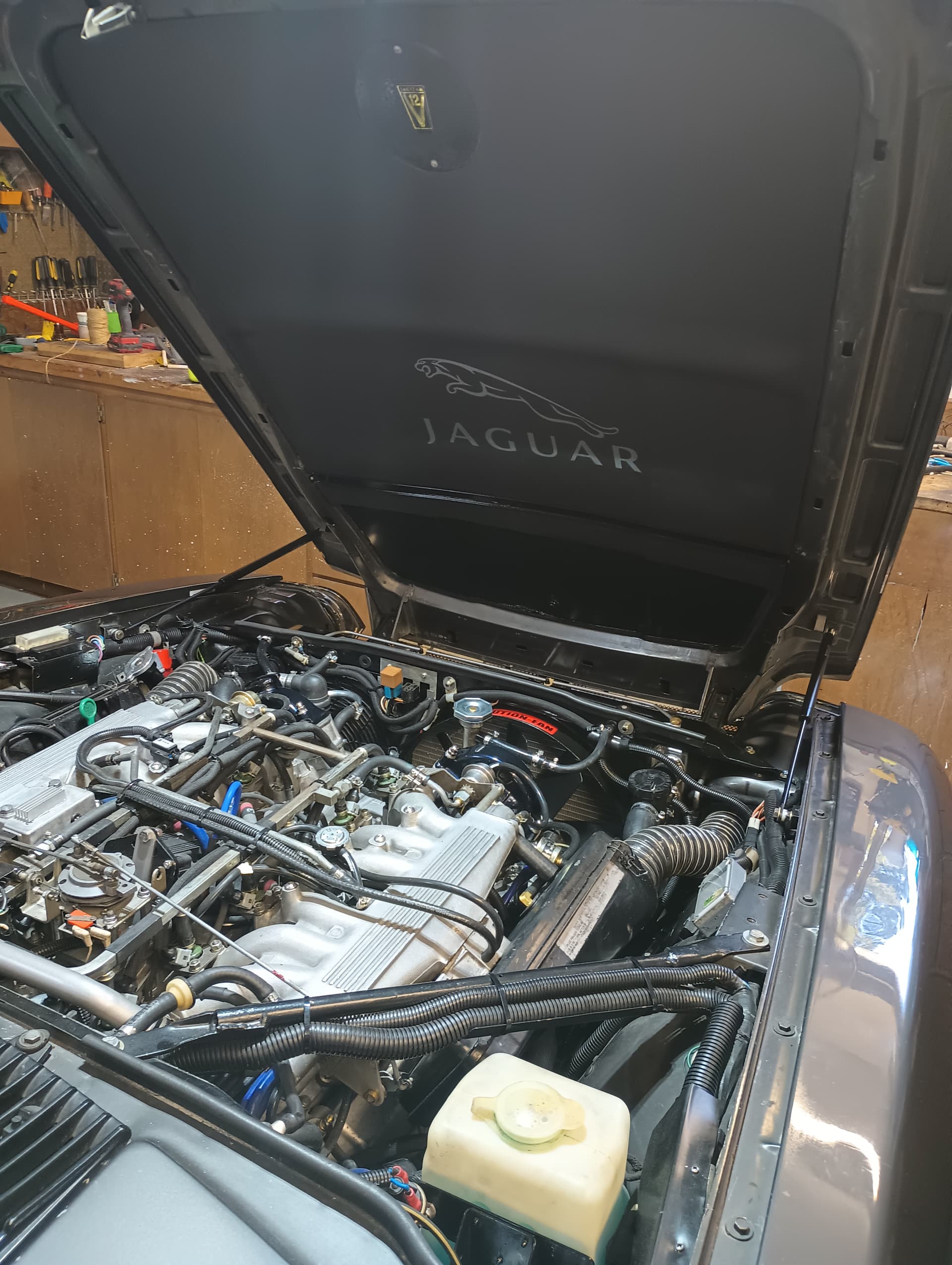 Reattach hood, align - XJ-S - Jag-lovers Forums