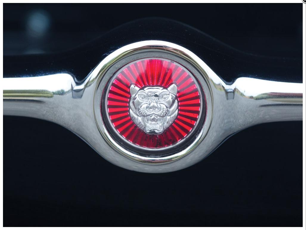 Hi Res Pic Of Growler-will you share? - E-Type - Jag-lovers Forums