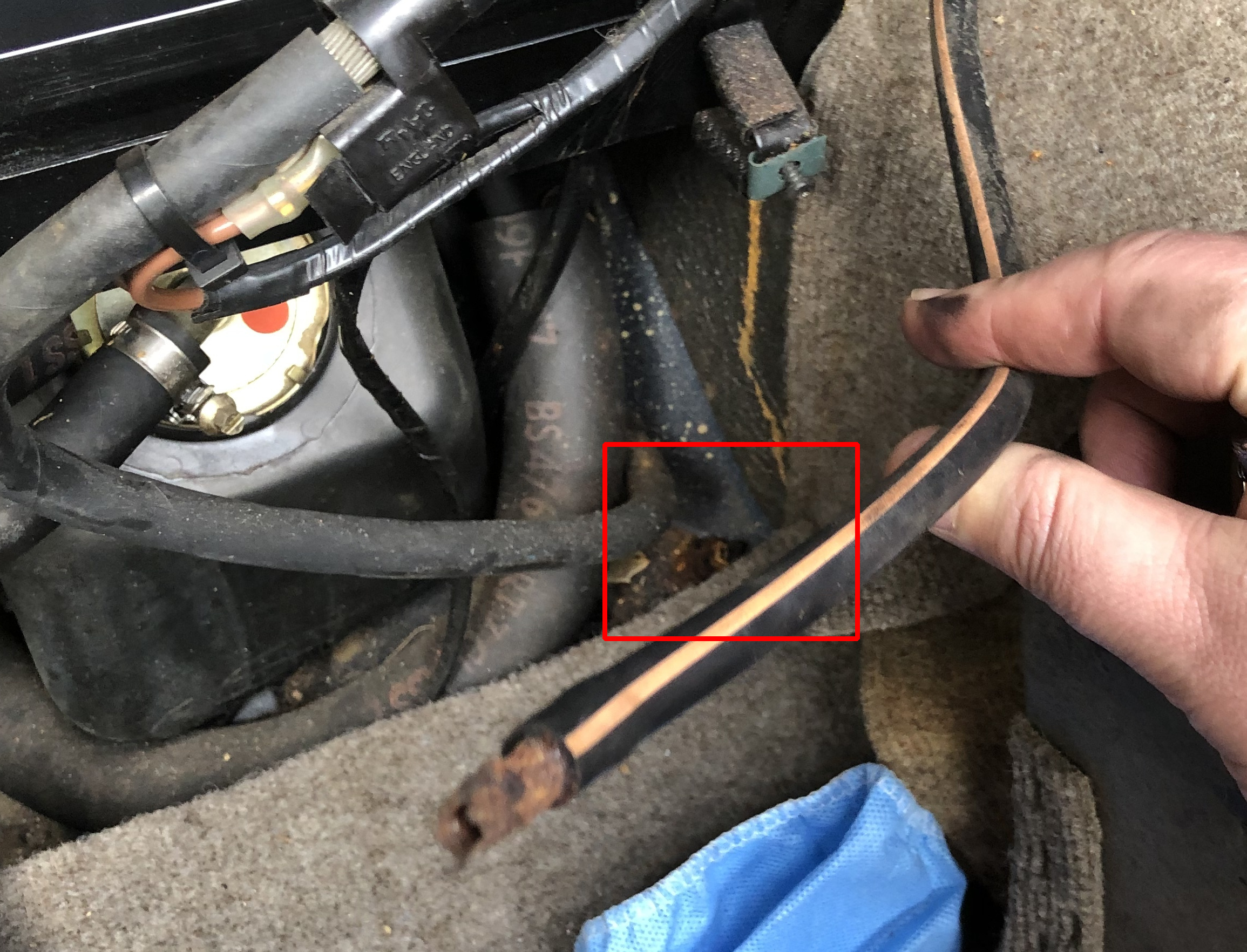 ECU Vacuum pipes - XJ-S - Jag-lovers Forums