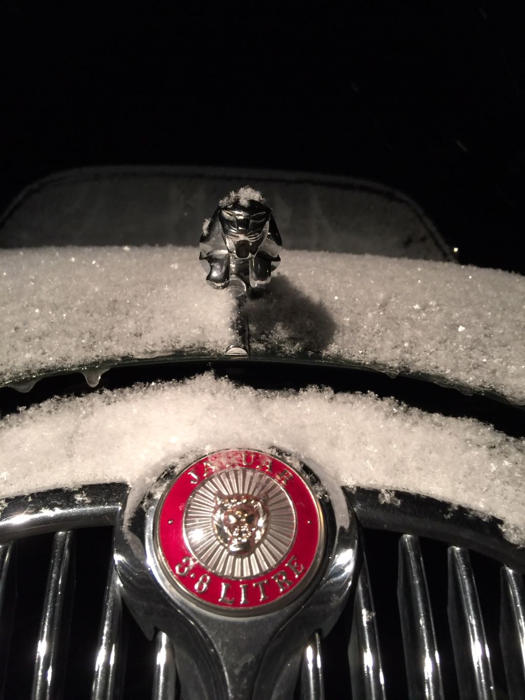 Happy Holidays - Picture to share with this morning's snow - Saloons ...