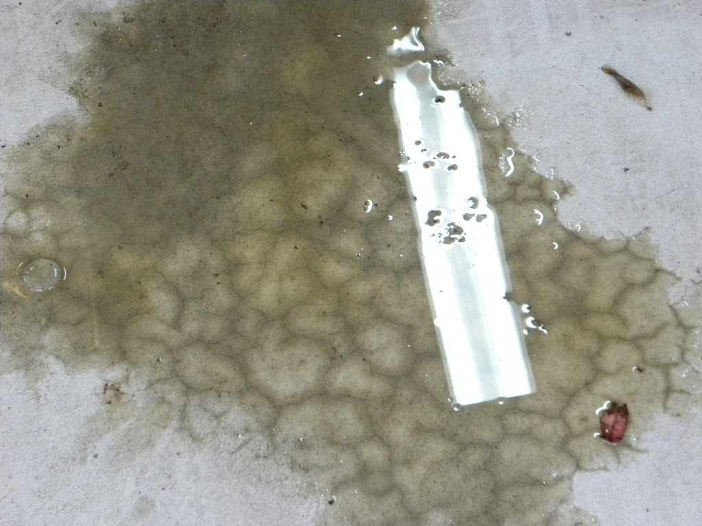 What is this puddle? - E-Type - Jag-lovers Forums