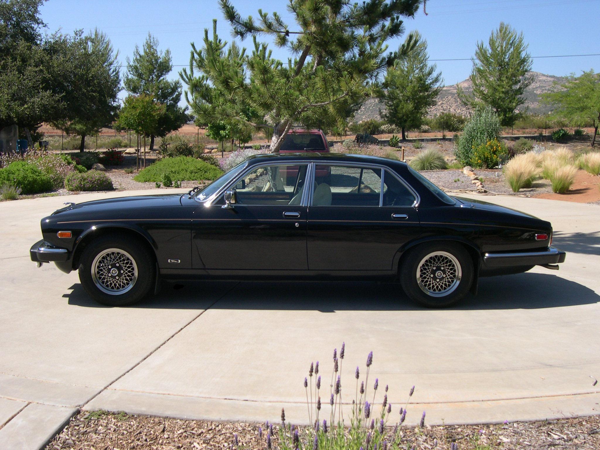 Salvage find for my 85 xj6 - XJ - Jag-lovers Forums