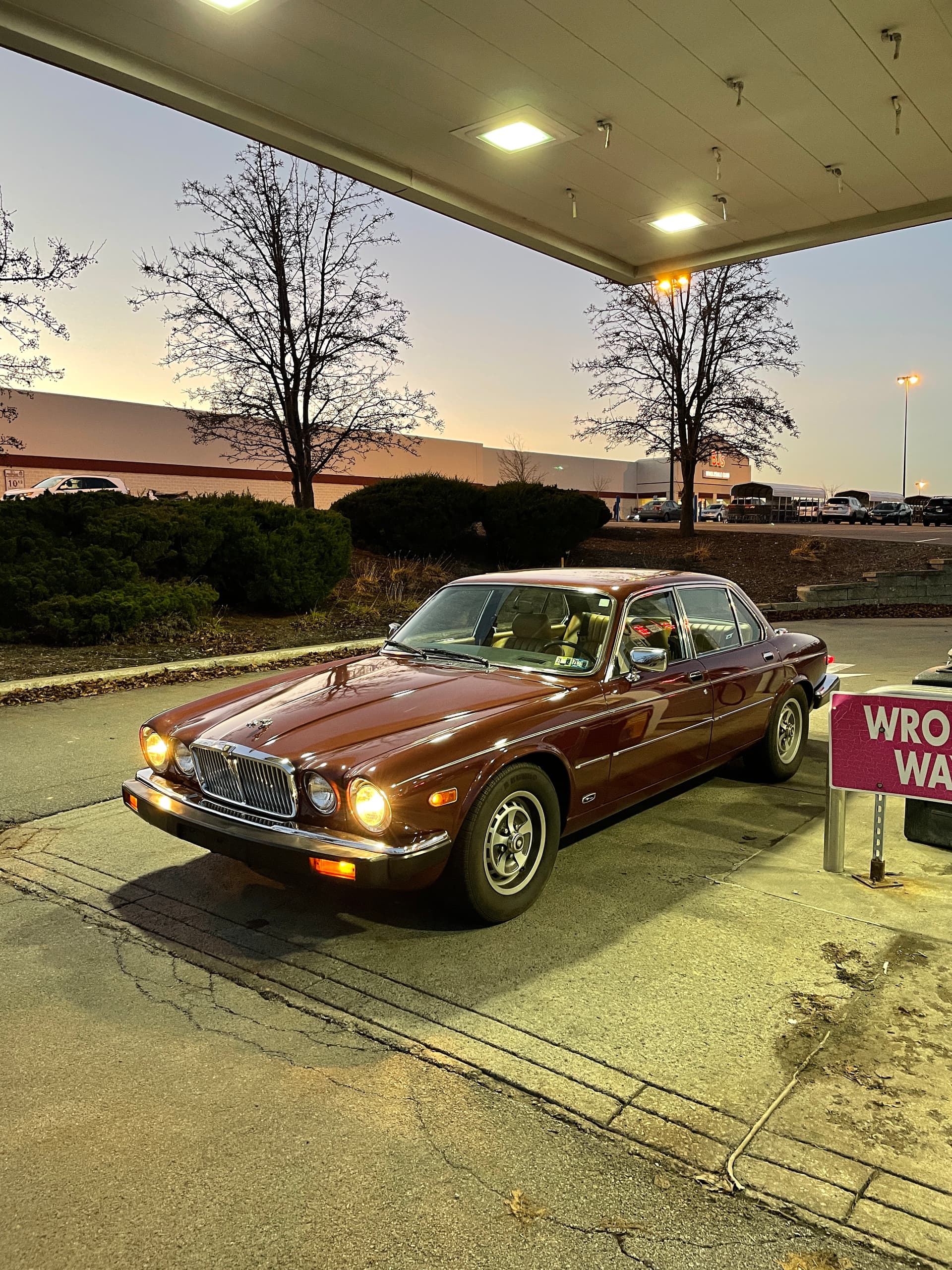 New XJ6 Series III Owner | Eager for Tips - XJ - Jag-lovers Forums