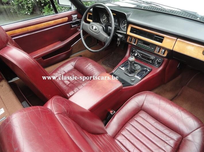 Anyone know where this red interior leather originated from I can’t ...