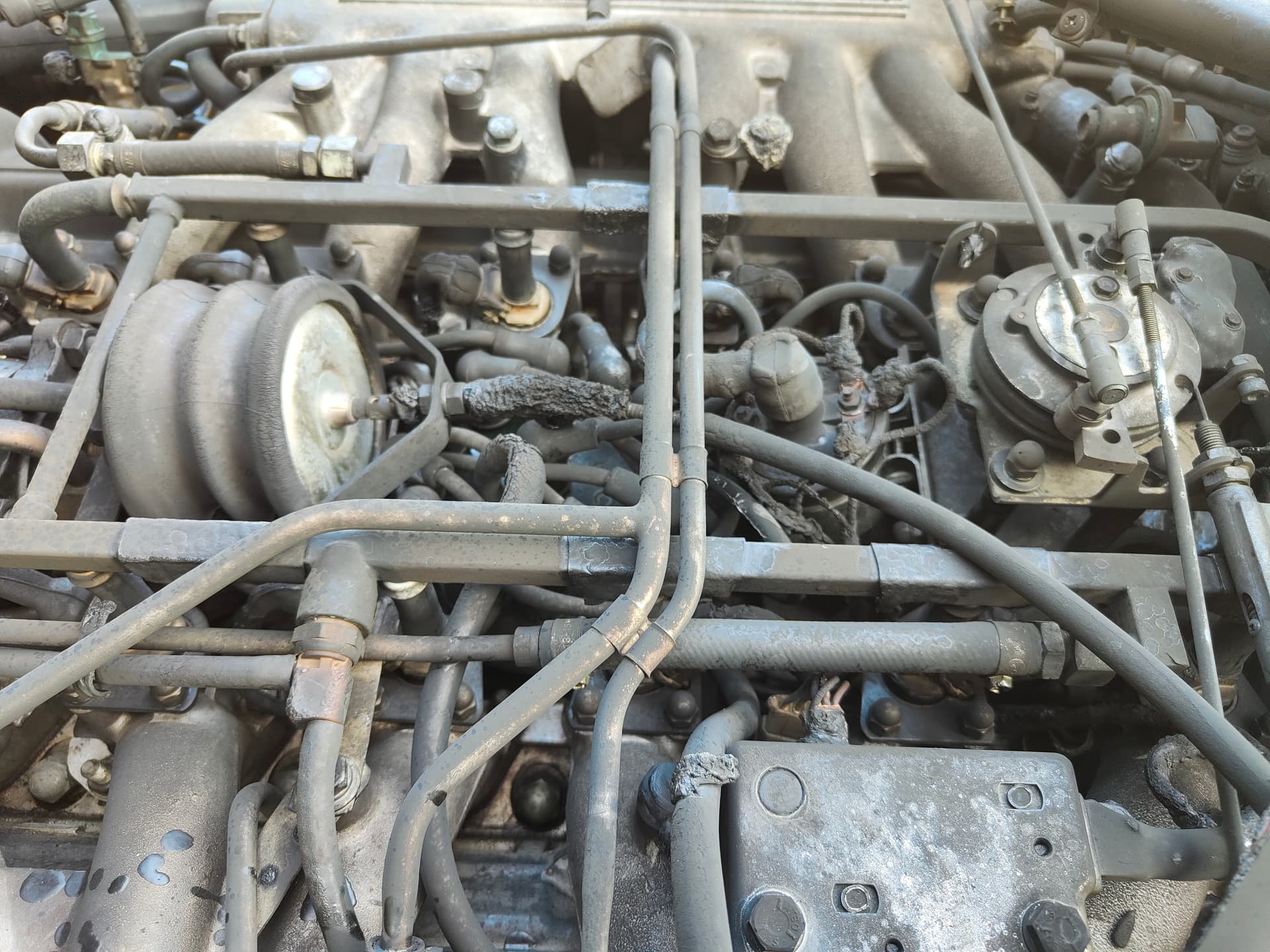 Oil in Coolant..? - V12-Engine - Jag-lovers Forums