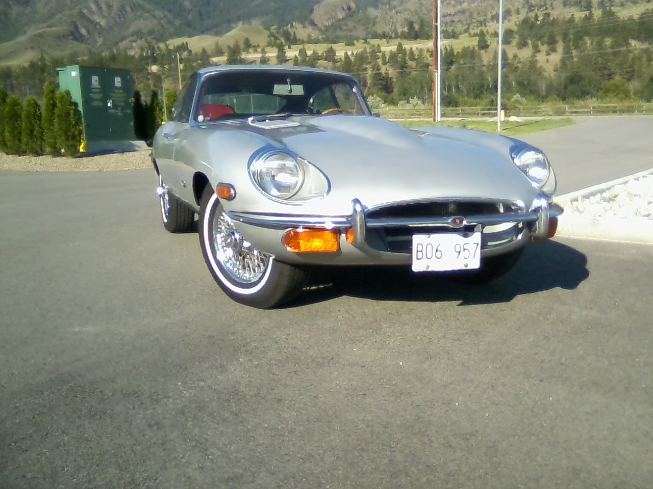 Someone put a growler on bonnet of an E - E-Type - Jag-lovers Forums