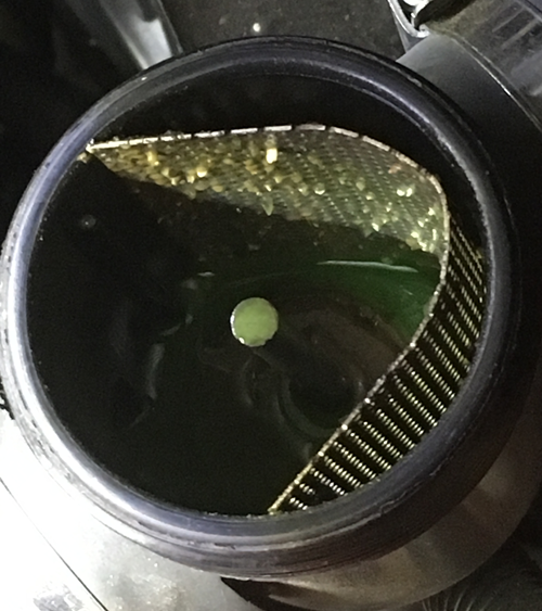 TEFBA coolant filter revisited - XJ-S - Jag-lovers Forums