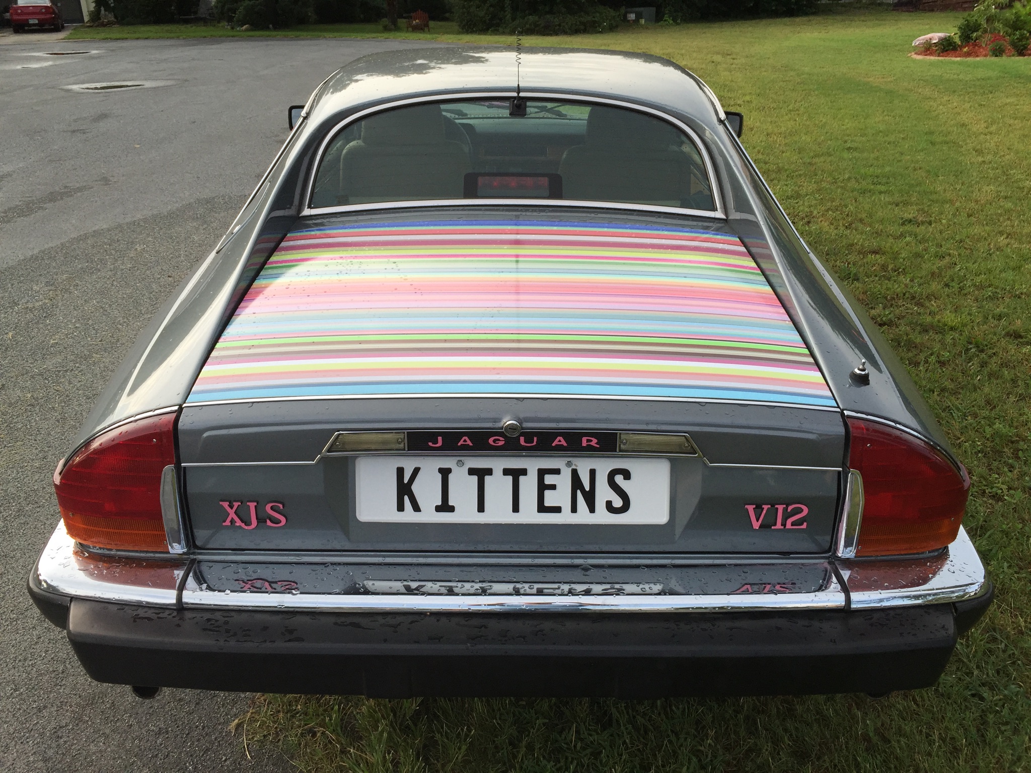 Custom license plates - XJ-S - Jag-lovers Forums