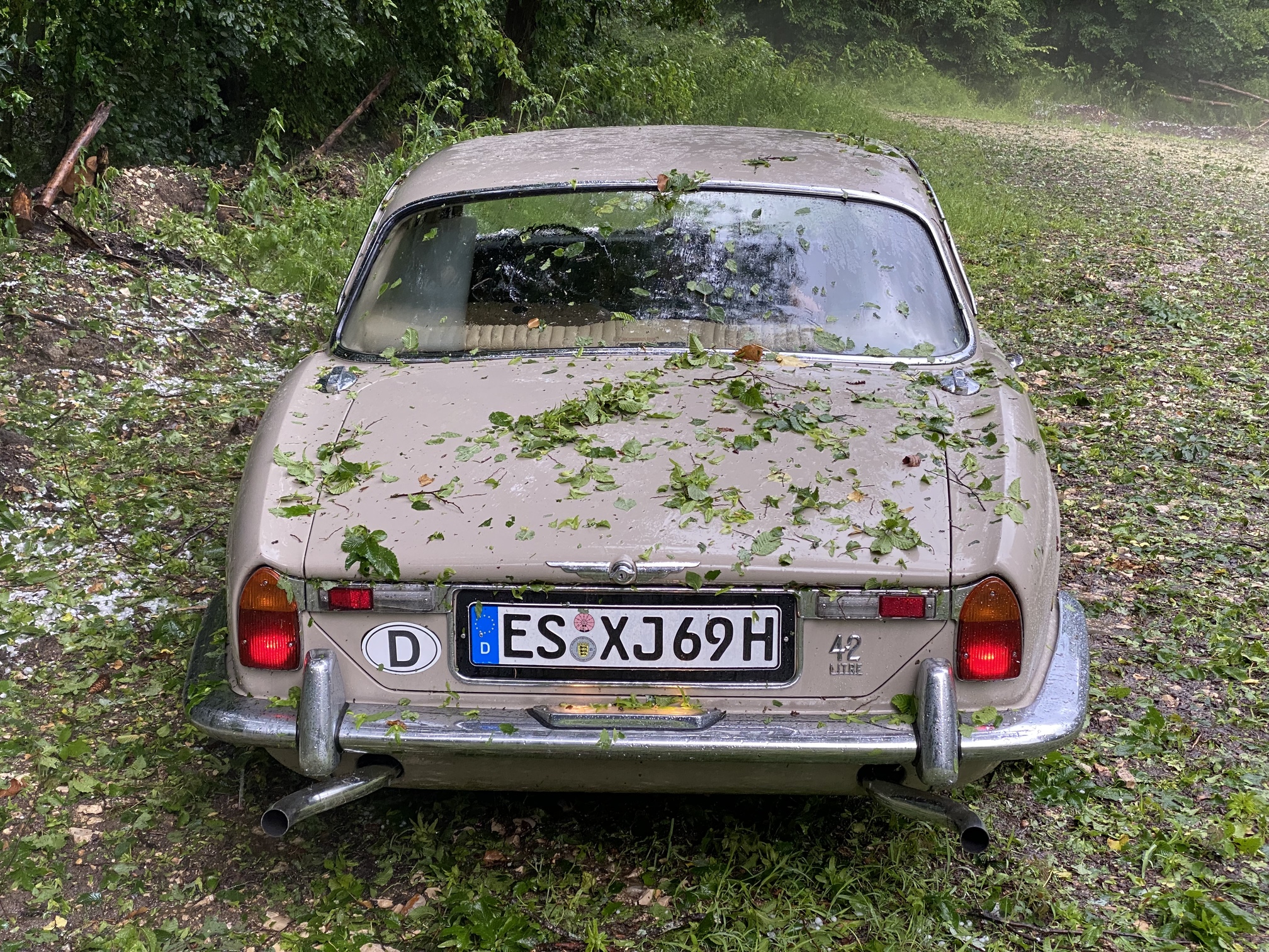 Rear hatch glass - E-Type - Jag-lovers Forums