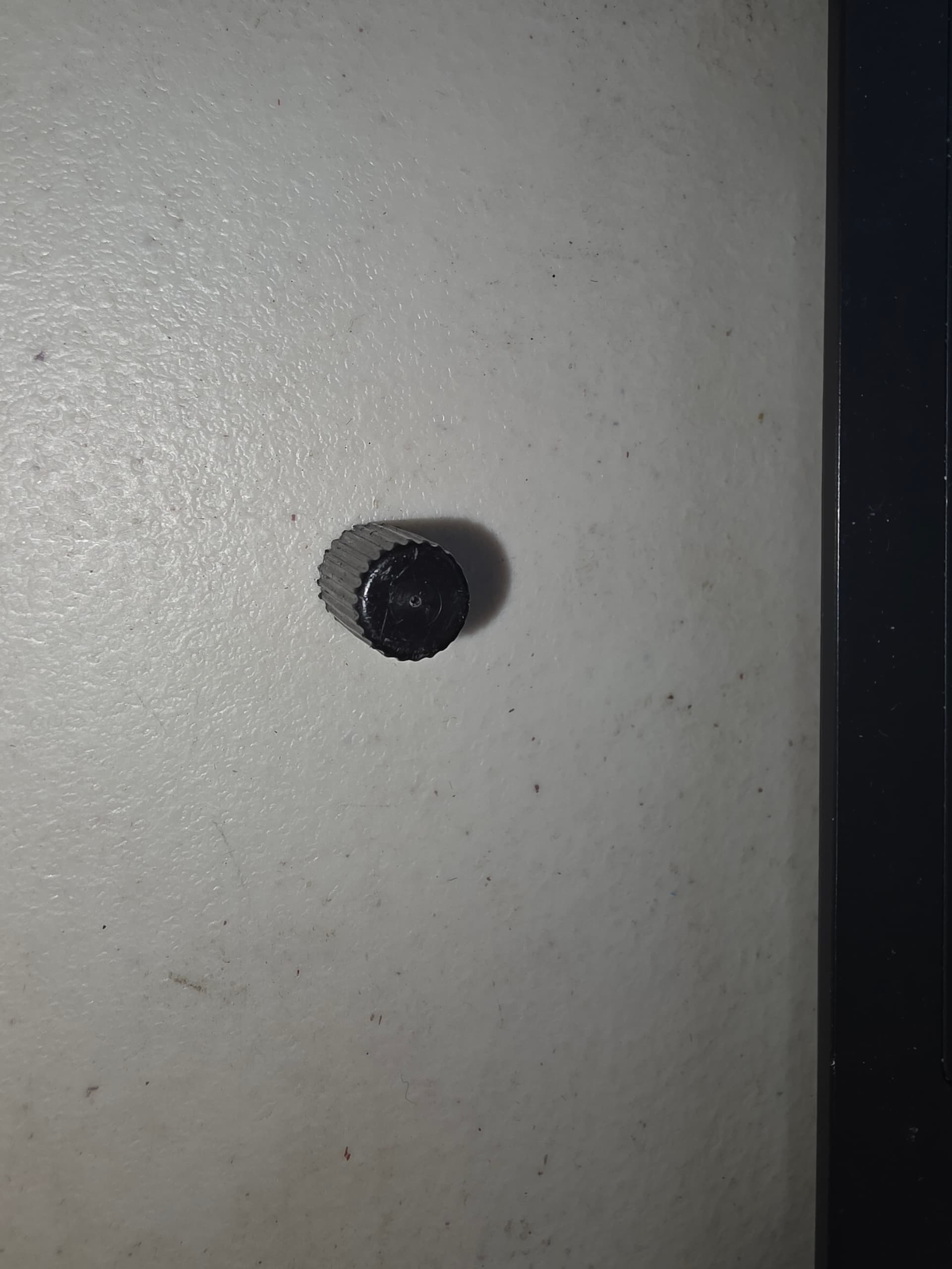 Covers for Clock and Trip OD Reset Knobs - E-Type - Jag-lovers Forums