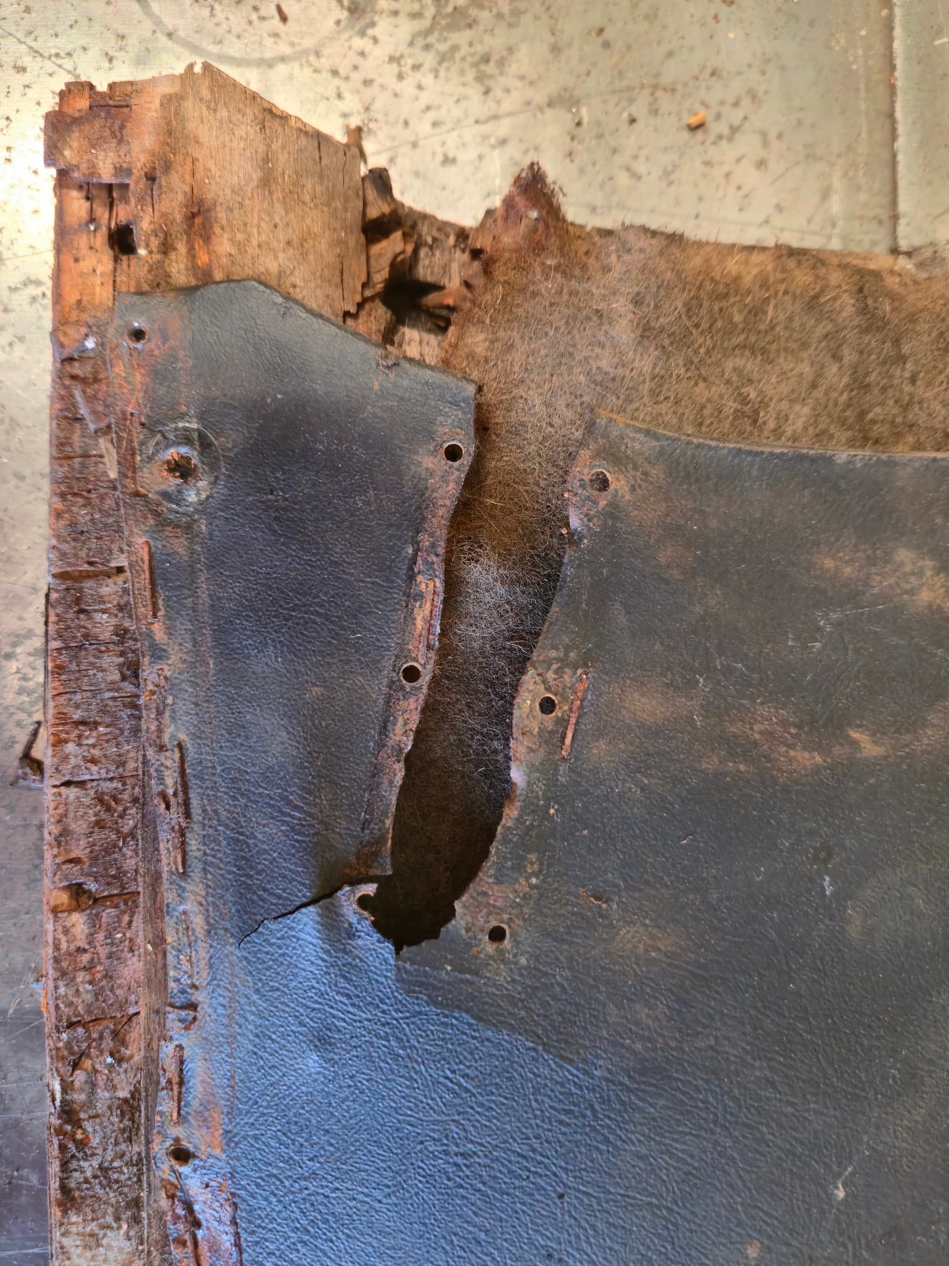 Project continues - Boot boards - E-Type - Jag-lovers Forums