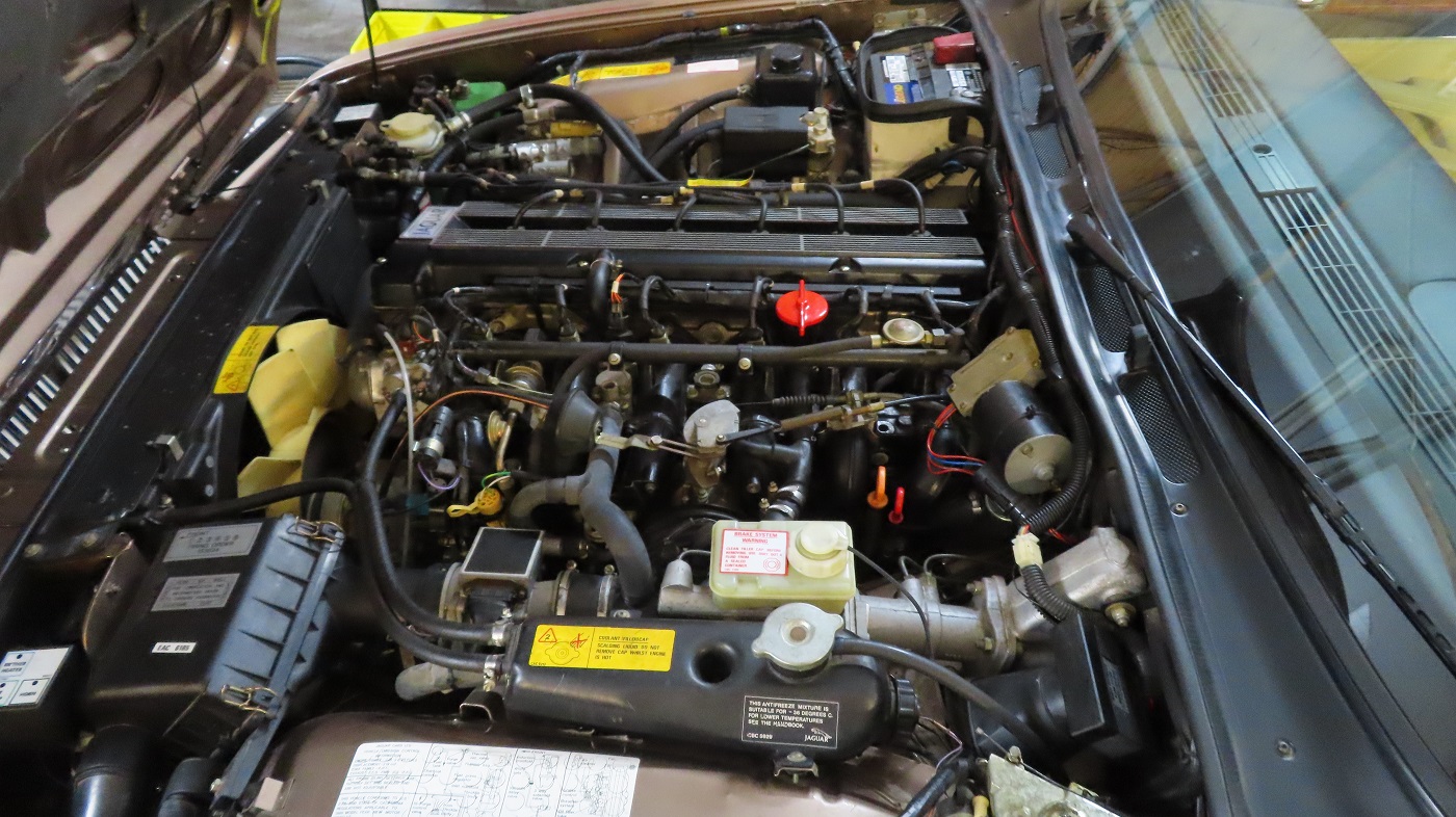 New '88 XJ40 imported from Portland OR - XJ40 - Jag-lovers Forums