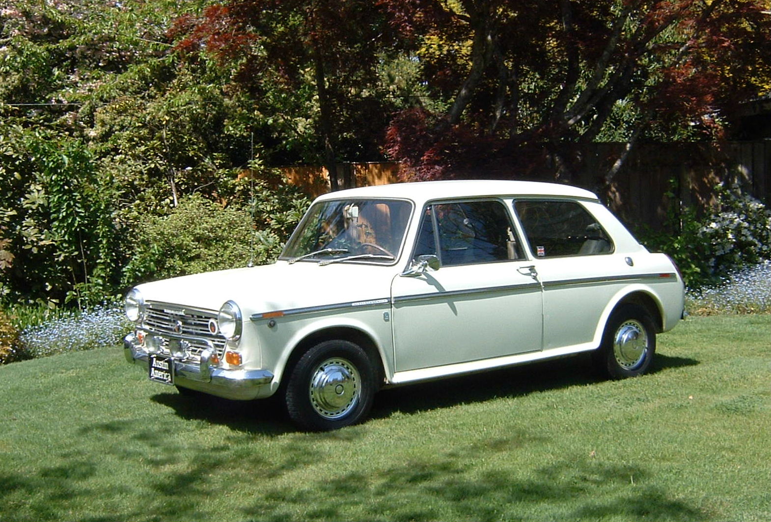 Electronic ignition advice - Saloons - Jag-lovers Forums