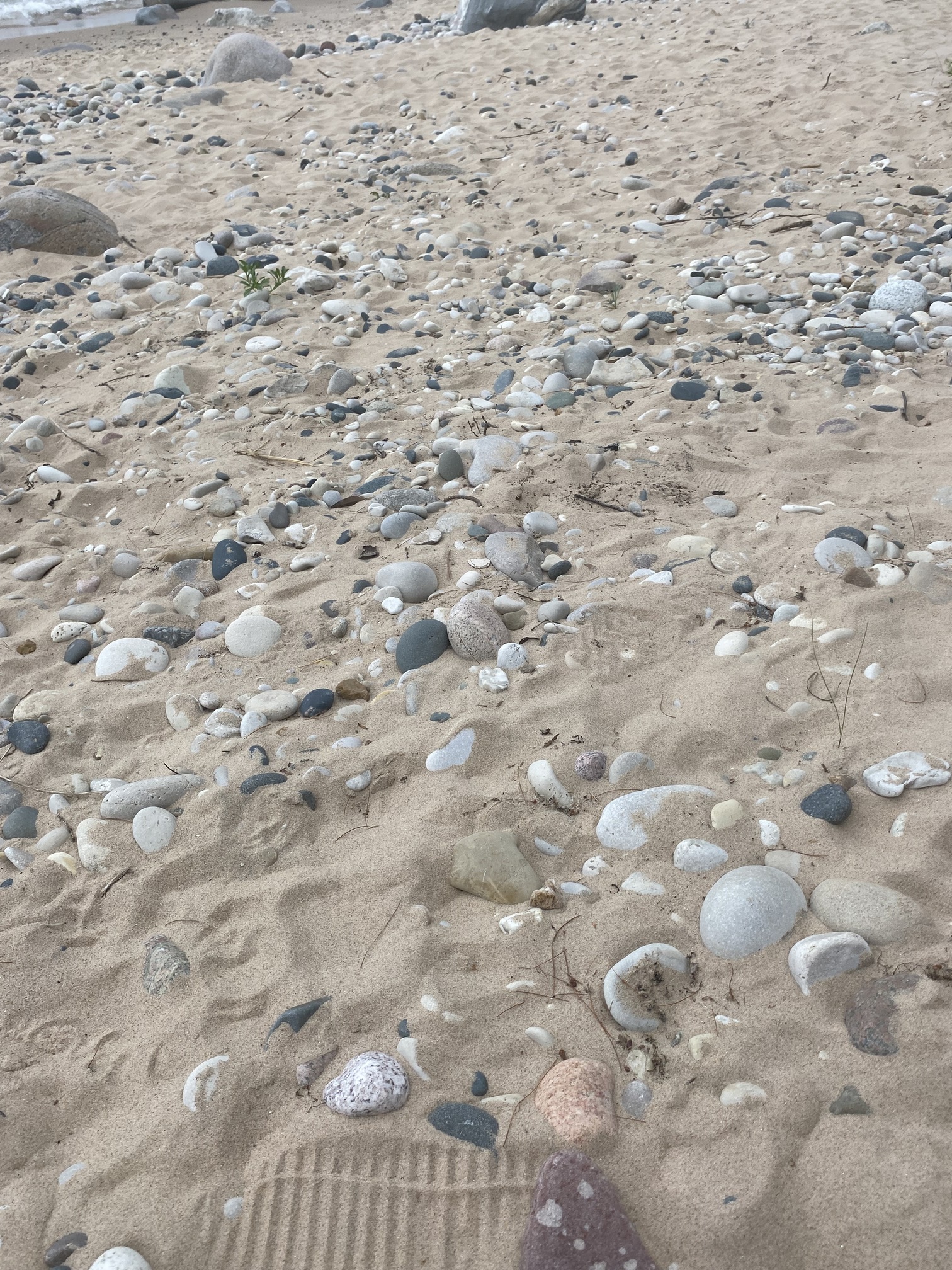 Garage building - Page 3 - E-Type - Jag-lovers Forums