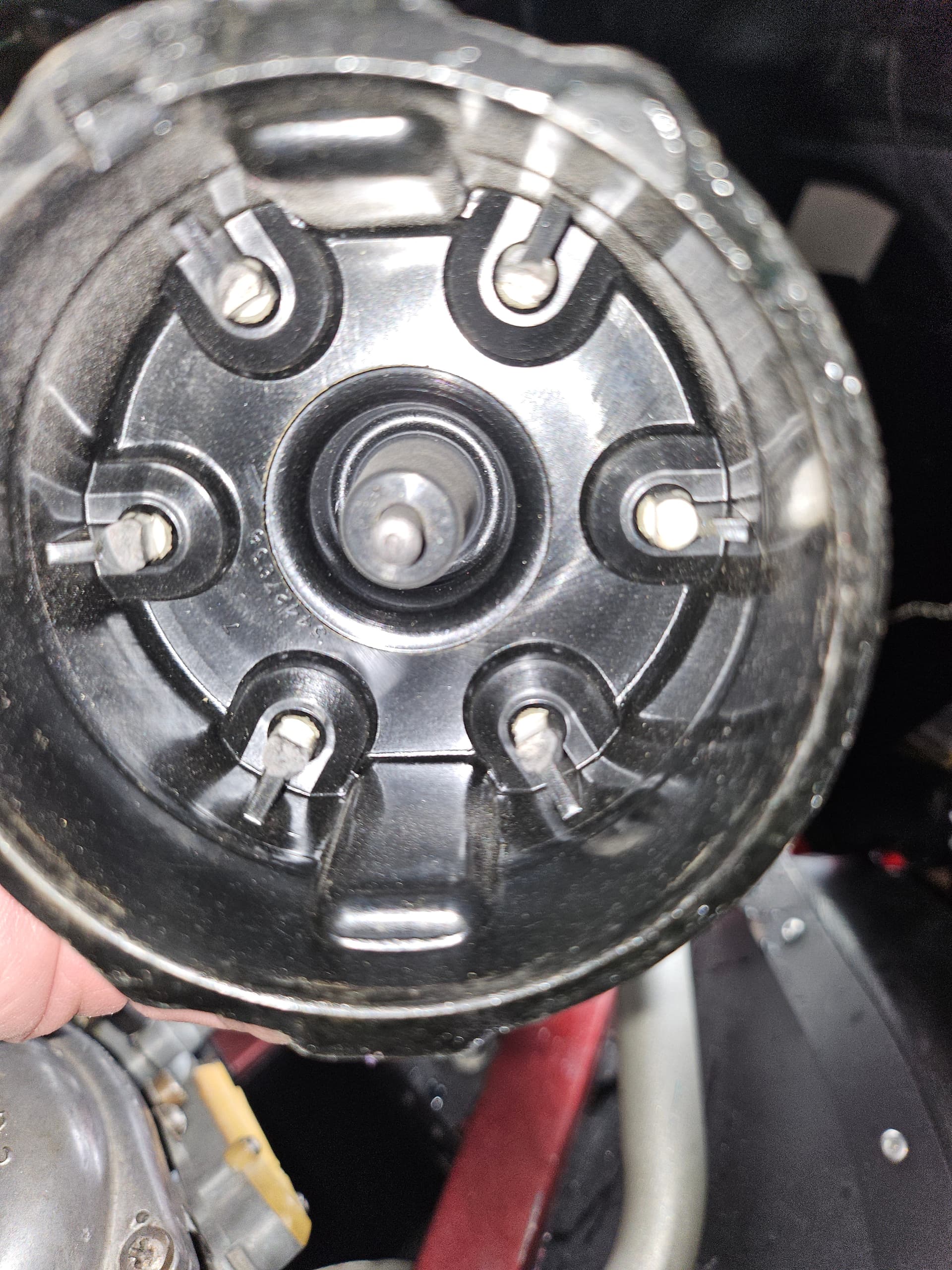 Distributor Cap - Uneven contact wear - E-Type - Jag-lovers Forums
